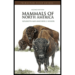 Mammals of North America | Stephen F. Austin State University Bookstore