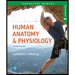 Human Anatomy & Physiology Laboratory Manual: Making Connections, Fetal ...