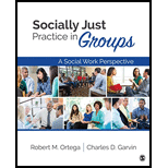 Socially Just Practice In Groups: A Social Work Perspective | Boston ...