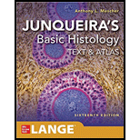 Junqueira's Basic Histology: Text and Atlas | William Carey University ...