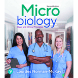 Microbiology: Basics and Clinical Principles | University of Tampa ...