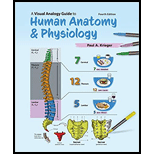 A Visual Analogy Guide To Human Anatomy And Physiology, Fourth Edition ...