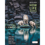 Biology: How Life Works - Achieve Access | St. Mary's University Official Bookstore
