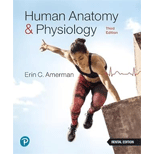 Human Anatomy and Physiology | Tidewater Community College Official ...