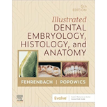 Illustrated Dental Embryology, Histology, and Anatomy - With Access ...