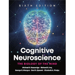 Cognitive Neuroscience - With Access | University of Alabama at ...